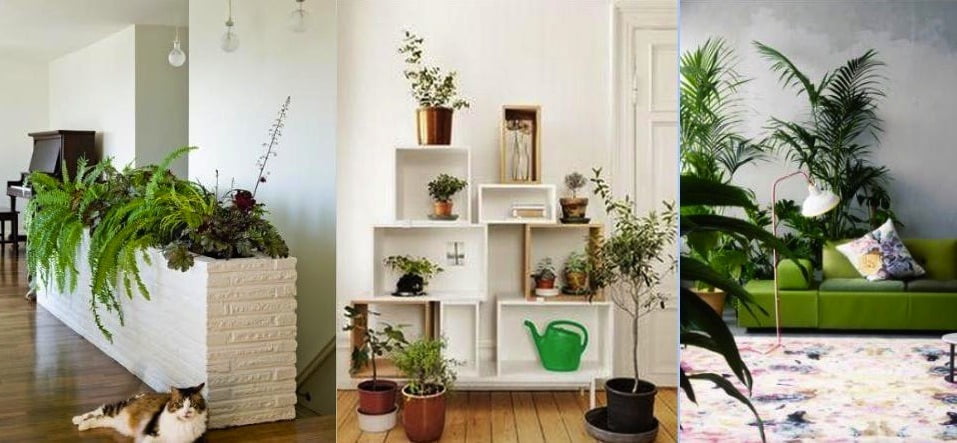 9 ways create an [Indoor] Garden | Maxine Brady