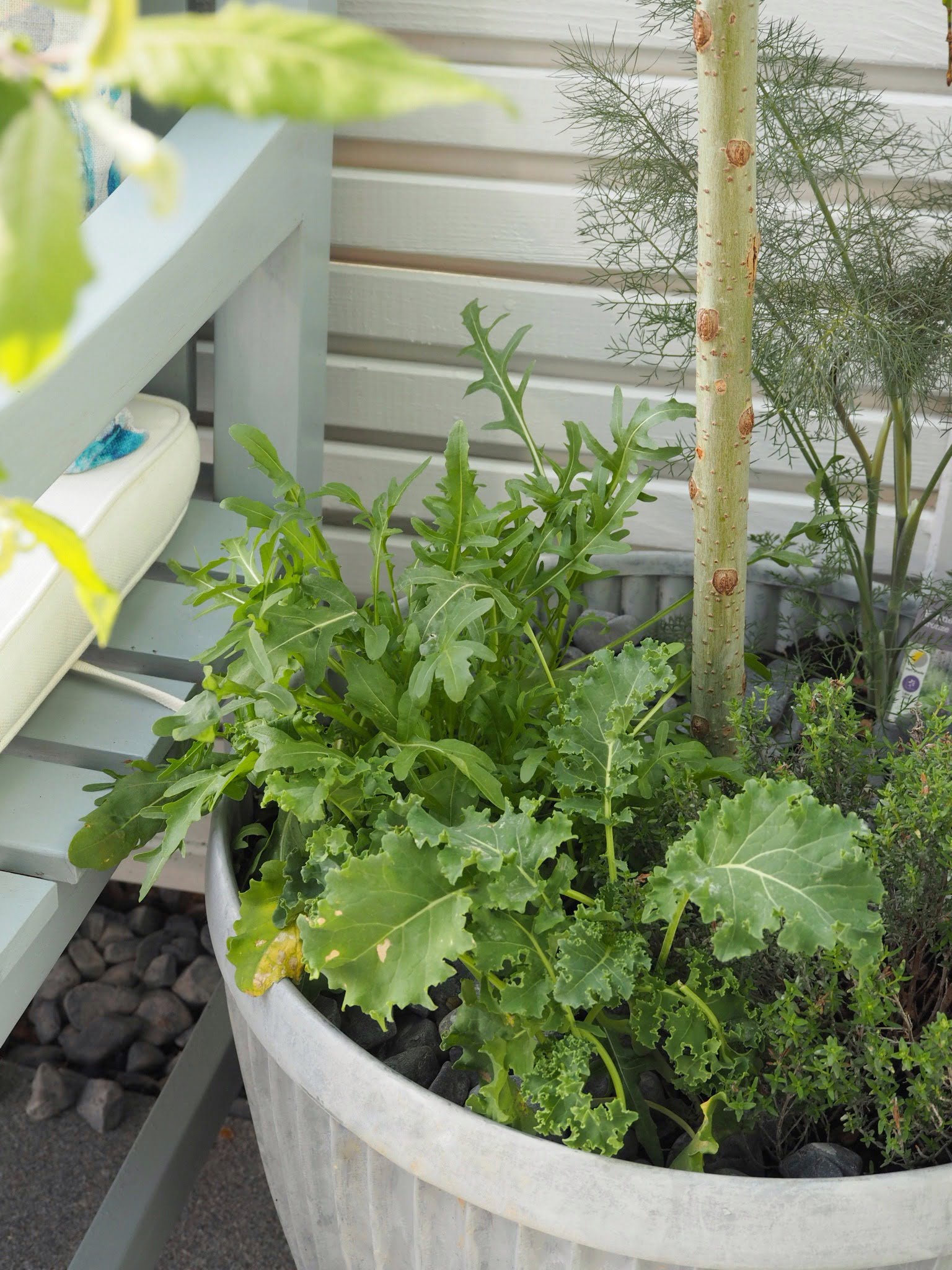 How To Make The Most Of Outdoor Living | Maxine Brady