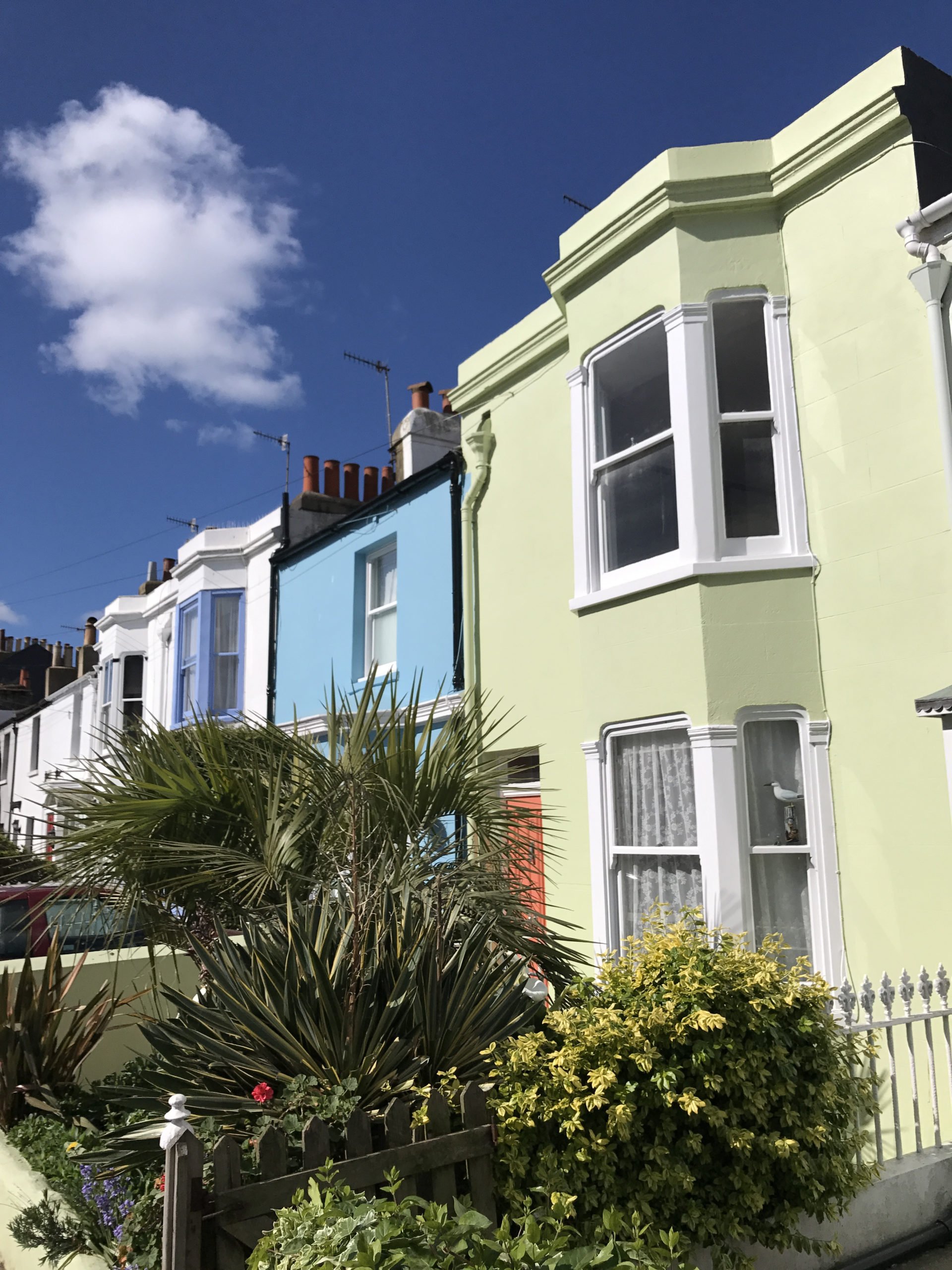 Why I love living in Brighton | Maxine Brady