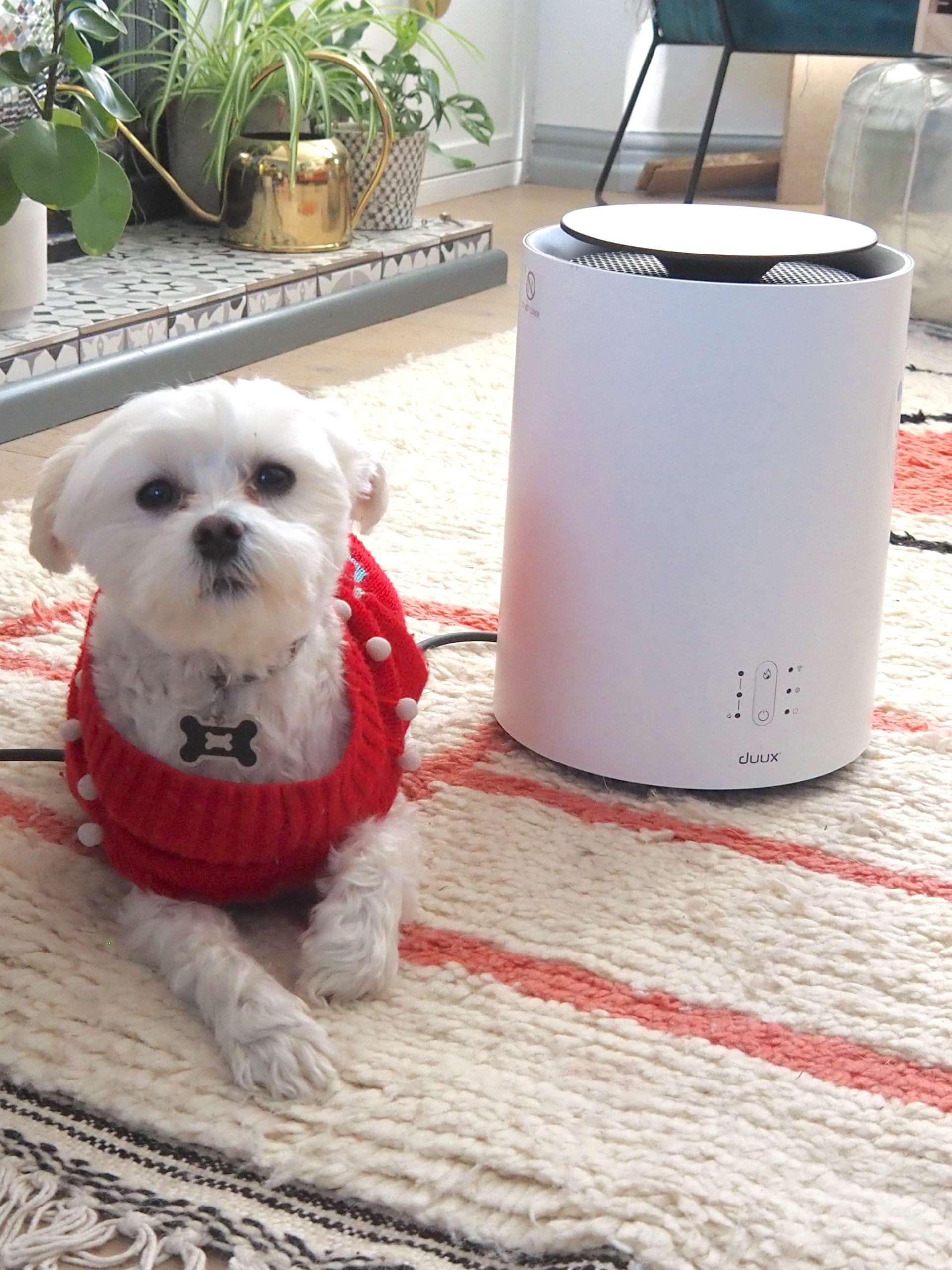 Duux Is The Smart Portable Heater You Need this winter