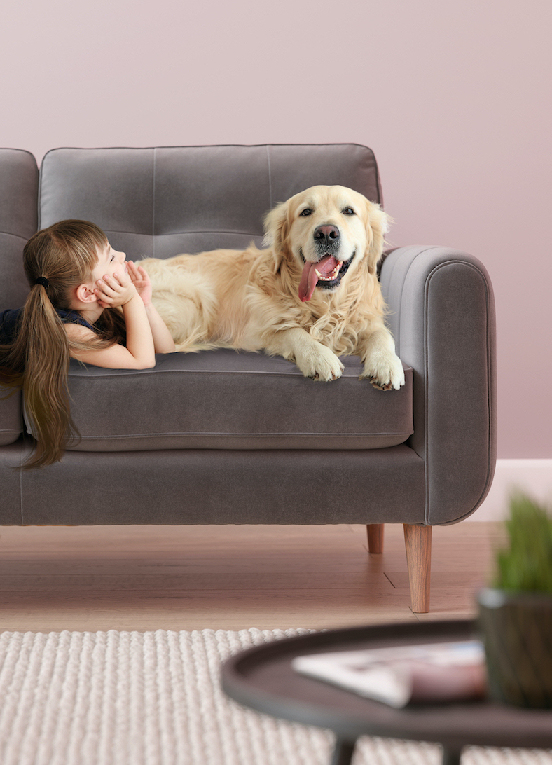 The Best Pet & Family-Friendly Sofas You Can Buy Now | Maxine Brady