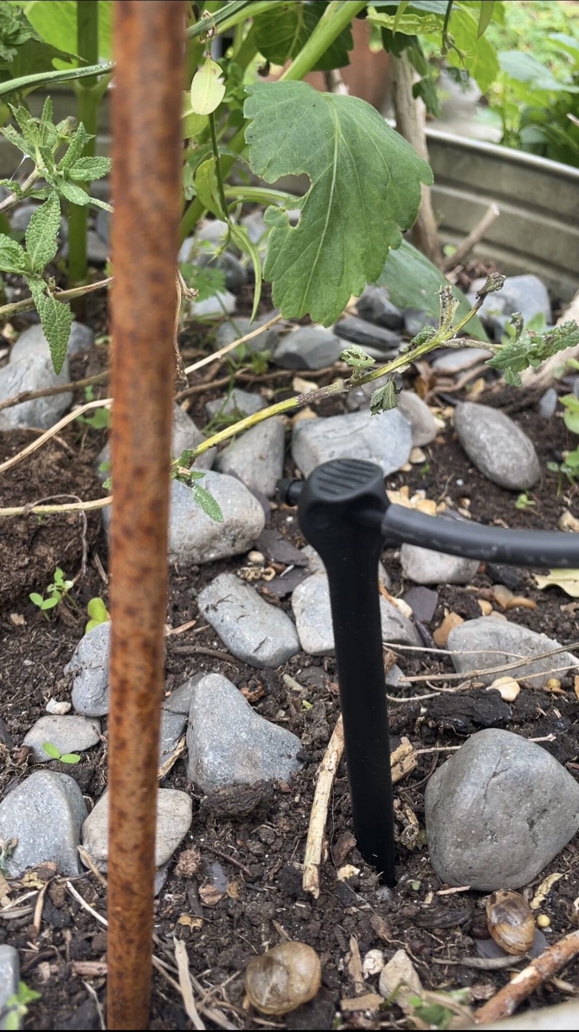 How To Easily Install A DIY Irrigation System In Your Garden | Maxine Brady