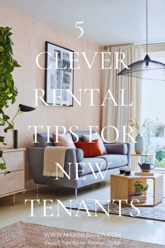 Looking To Rent? Check Out These Top 5 Clever Rental Tips For New ...
